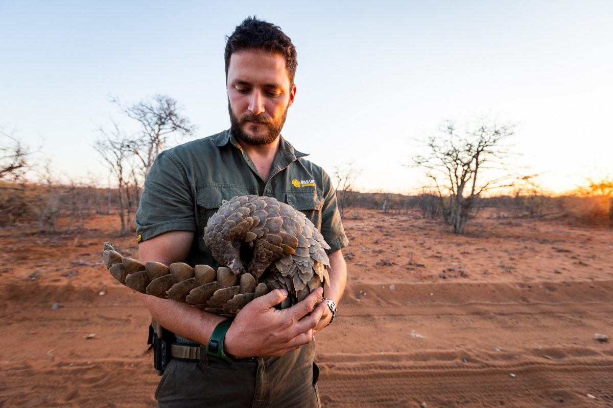 Milkywire | Beetroot