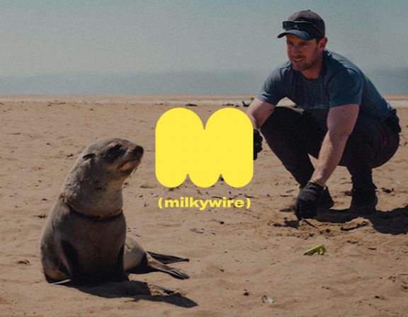 GreenTech Software Development Solutions | Beetroot