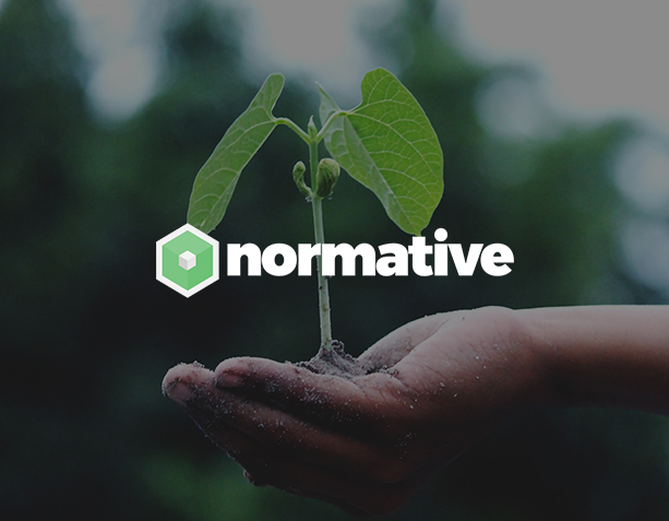 Custom Software Development Services & Solutions | Beetroot