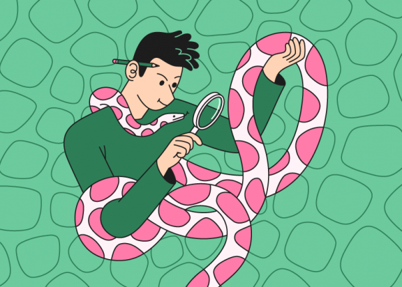 2023 Python Developer Salaries Around the World | Beetroot