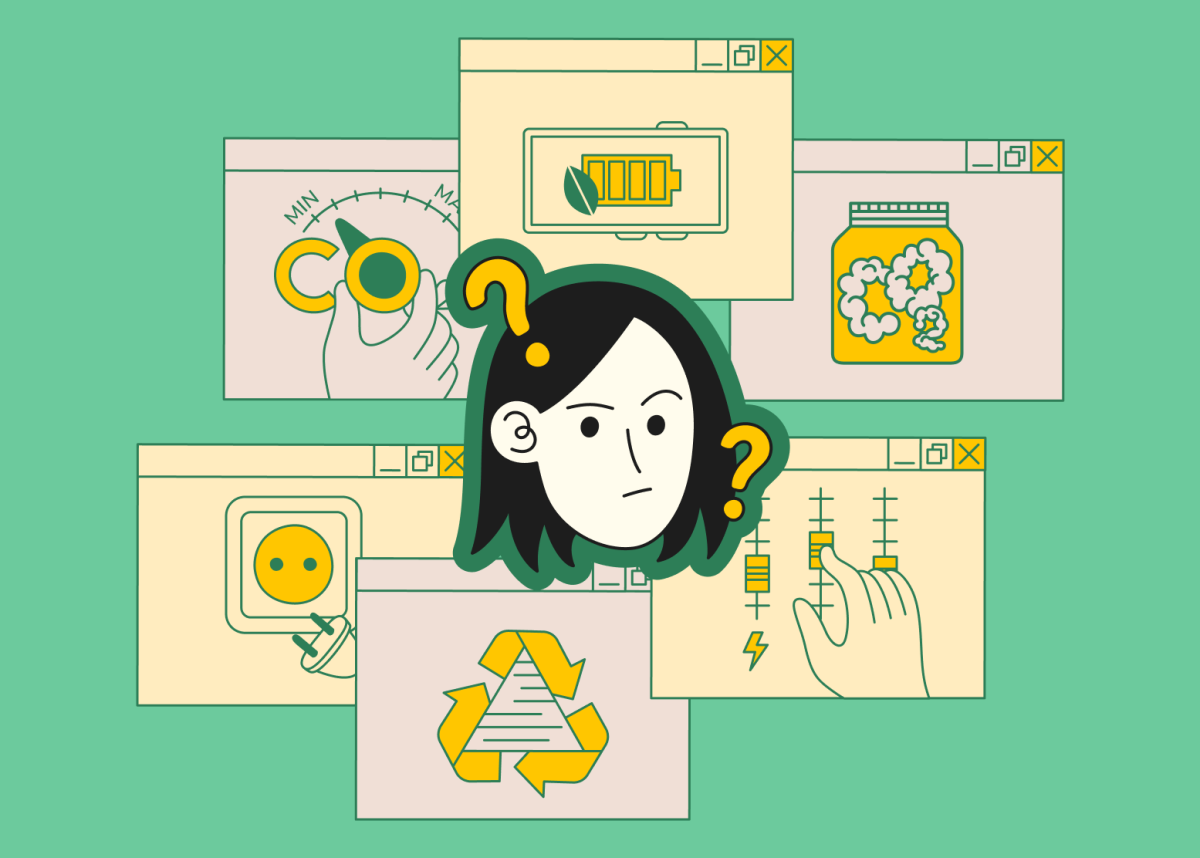 How to Reduce Your Software's Carbon Footprint | Beetroot